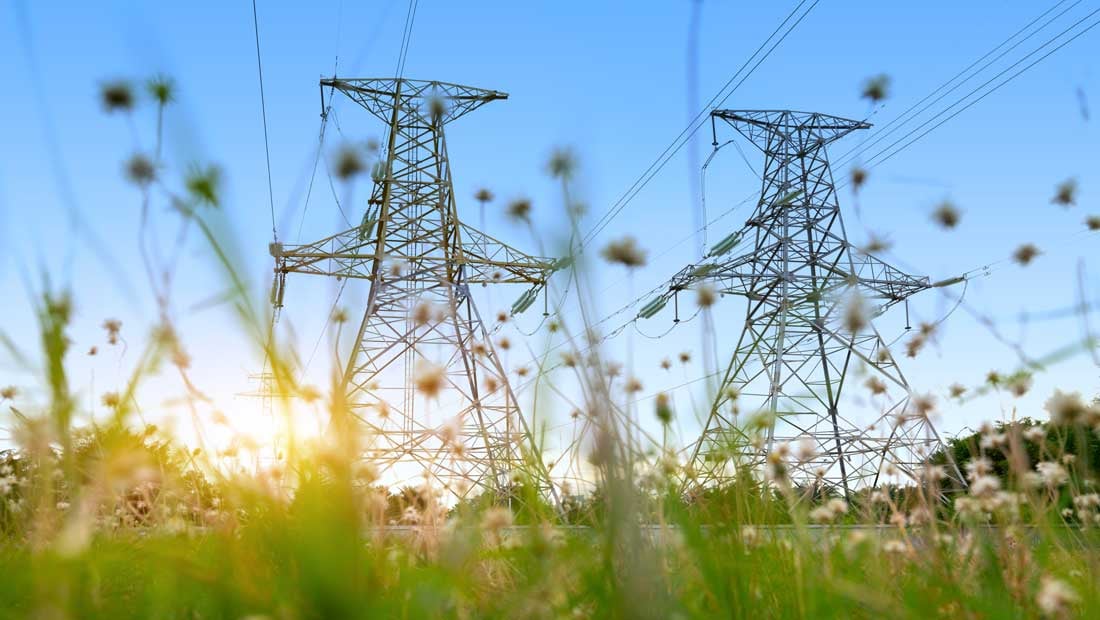 Home - Electrical Oil Services (EOS)