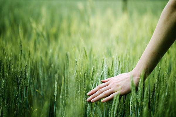 Haltermann Carless - Pioneers in hydrocarbons since 1859