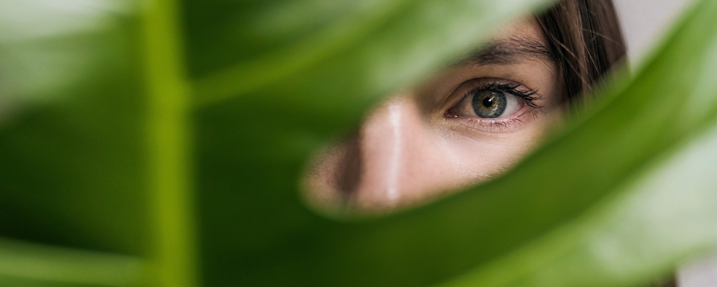 Haltermann Carless - Pioneers in hydrocarbons since 1859