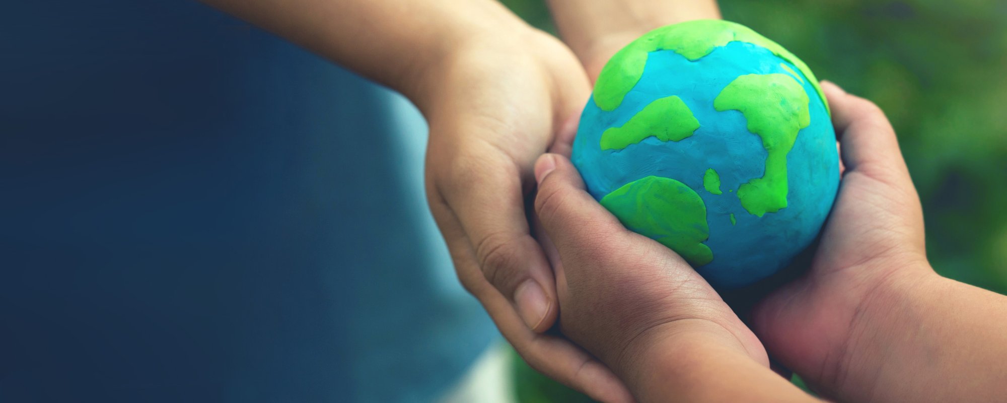 Sustainable Portfolio